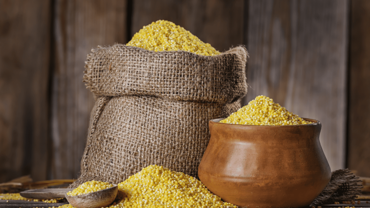 Curso: Mijo, un cereal alcalino y extra nutritivo. | Salud Loli Curto